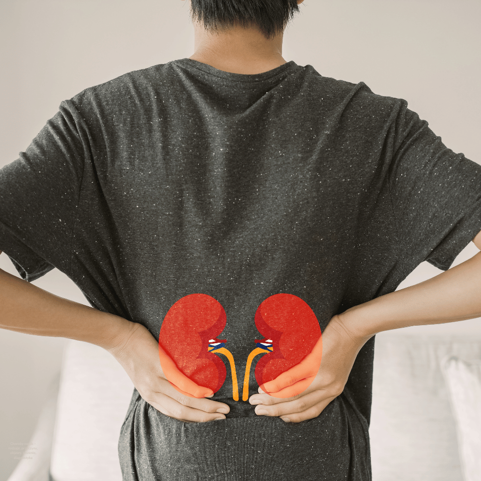 Choroby nerek – rodzaje, przyczyny, objawy, leczenie, diagnostyka | URO ...